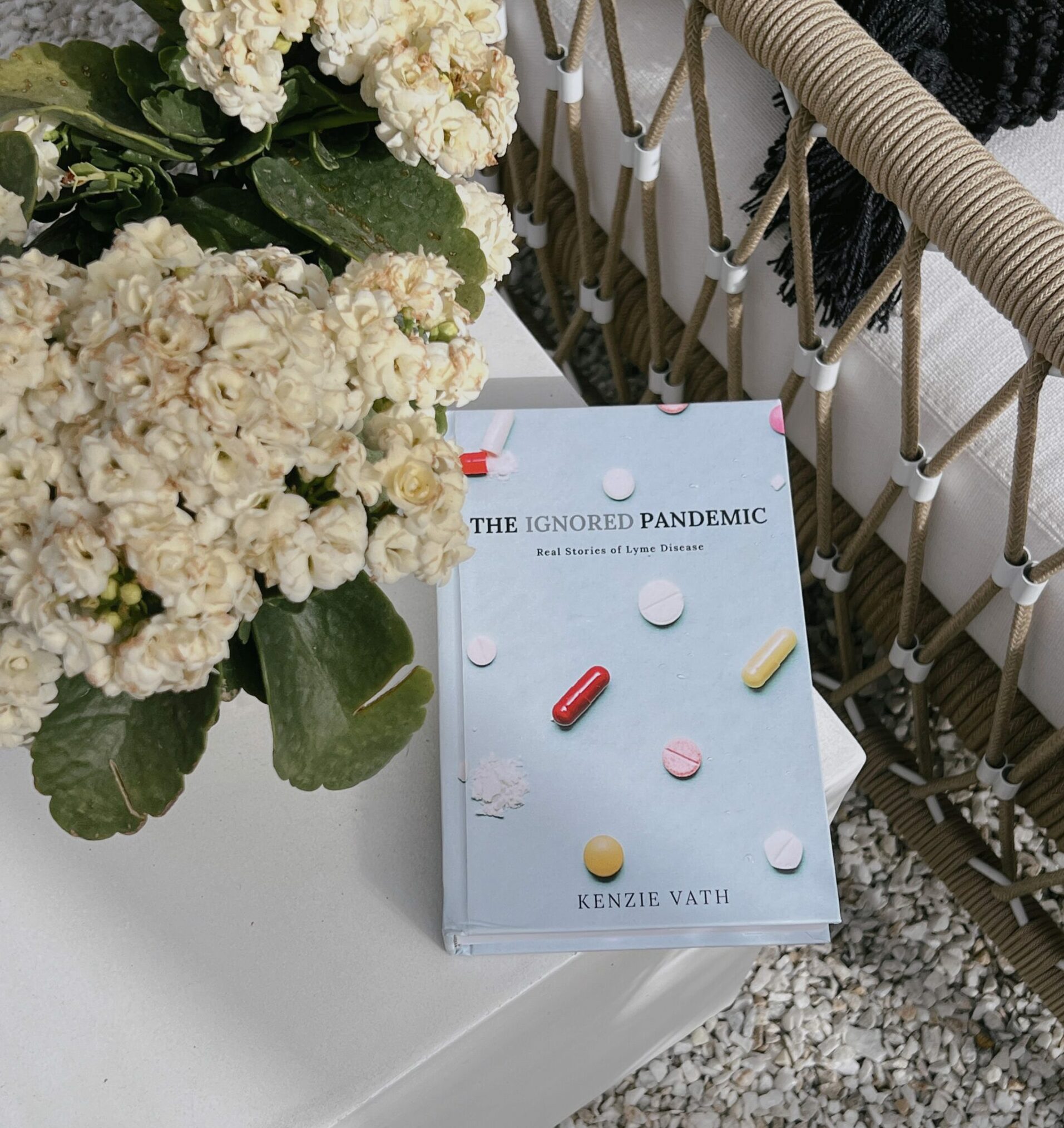 Kenzie Busch Vath Publishes Book on "The Ignored Pandemic: Real Stories ...