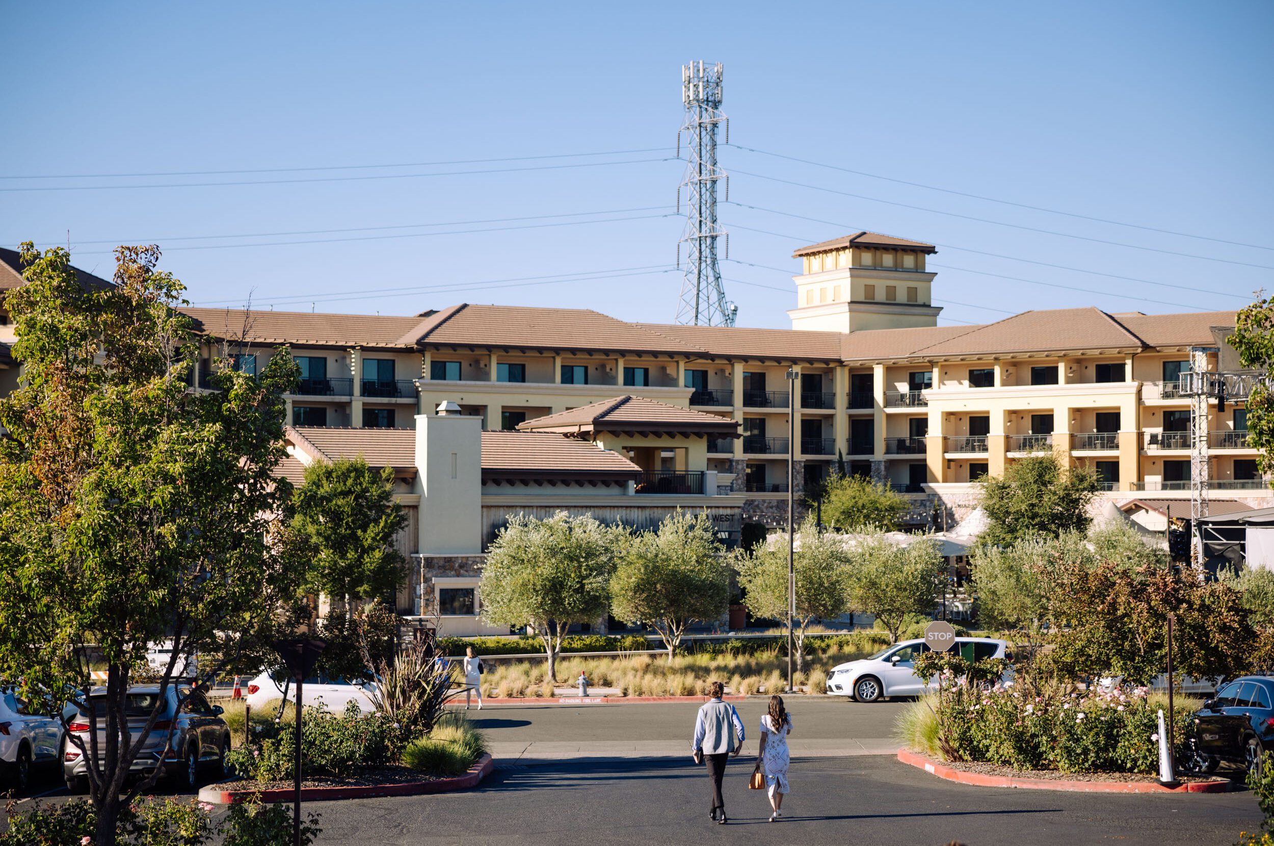 Napa Institute Arts Festival - The Napa Institute