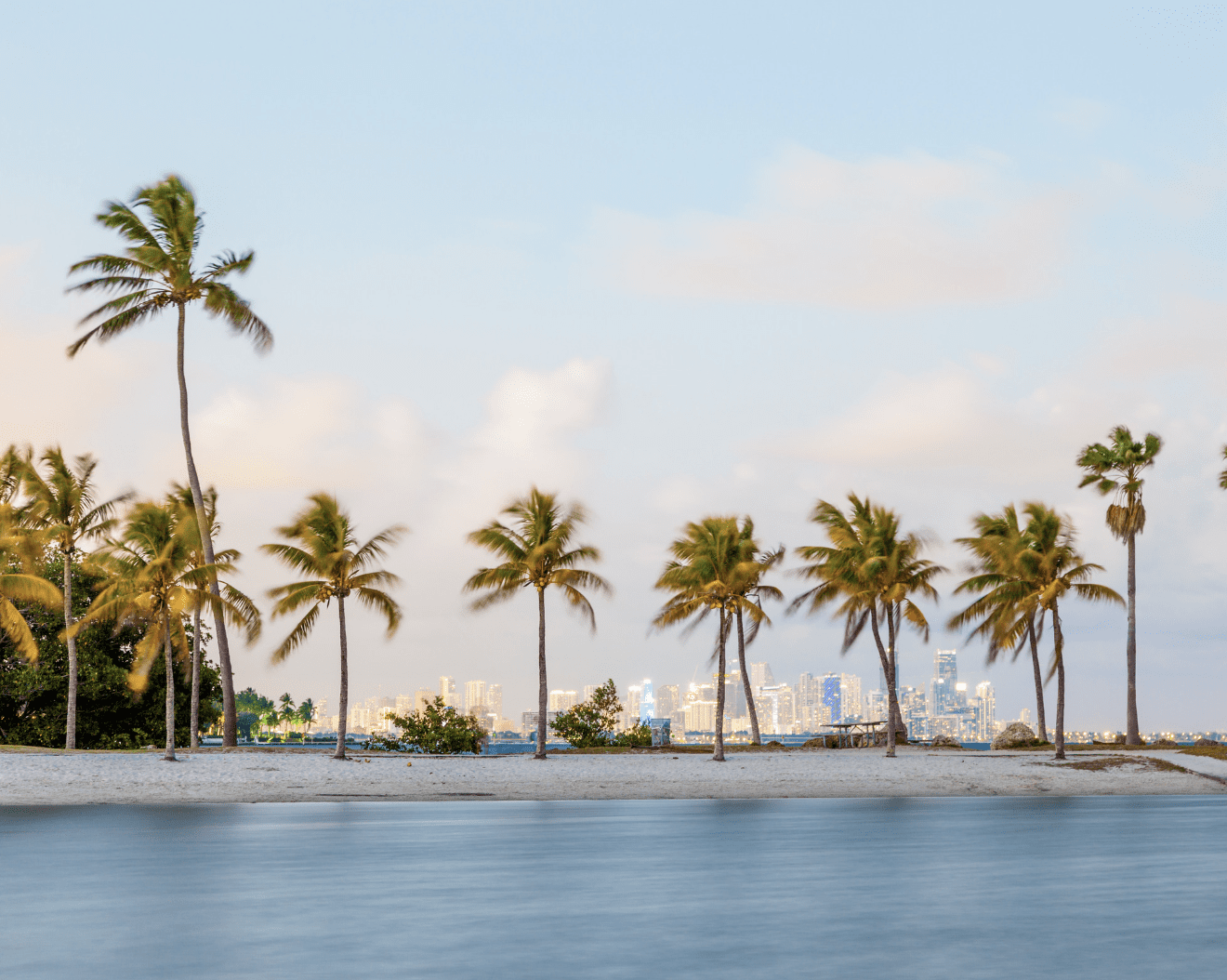 2025 Miami Experience - The Napa Institute